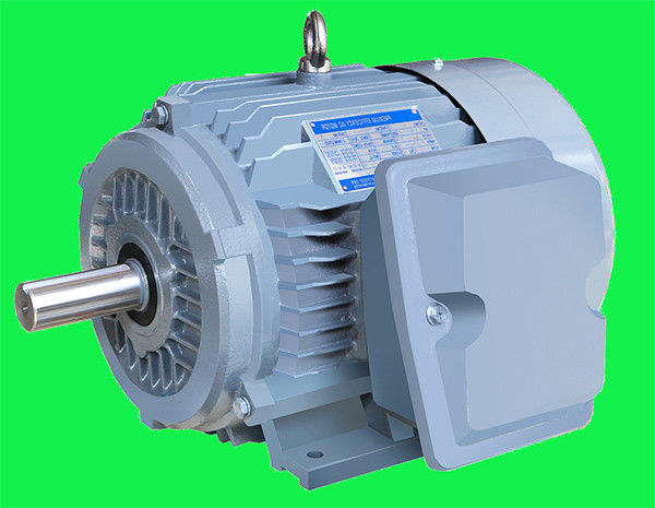 NEMA Premium High Torque High Slip Induction Motor IP55 For Oil Well Pump