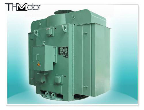 Power Plant Electric Three Phase Asynchronous Motor IEC GB