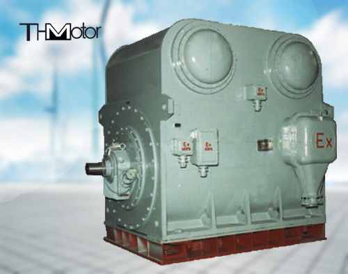 3000V 6000V 1500rpm Flameproof Electric Motor Asynchronous P44 IP54 IP55