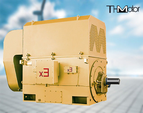 10000V 6000V 3000V Flameproof Electric Motor High Voltage IMB3