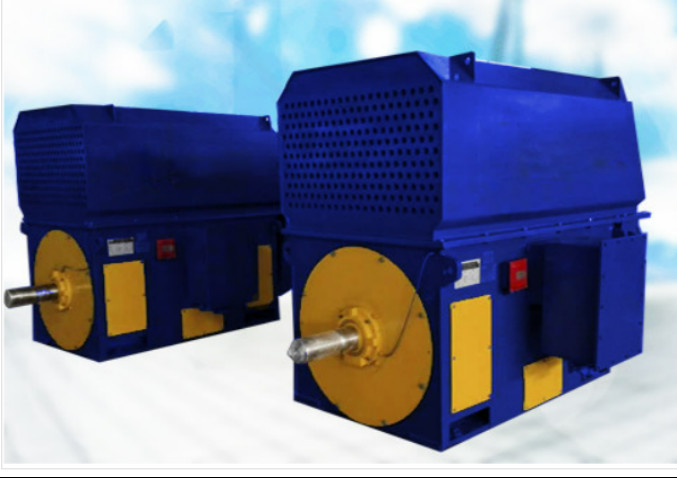 TMW Brushless AC Synchronous Motor Large Scale 300r/Min 10 KV IEC GB