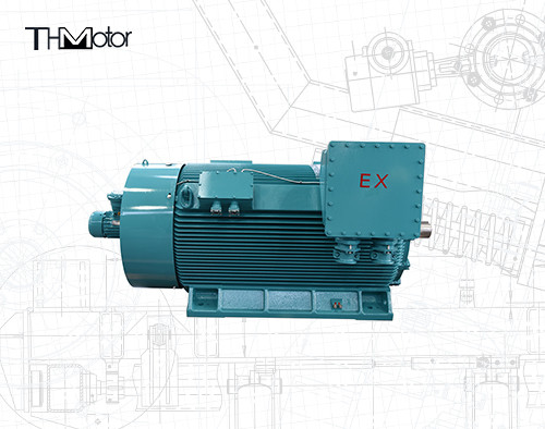 1000kw to 12000kw ExdIIBT4 Gb Flameproof Electric Motor 1500rpm VFD Motor